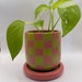 Checkered Planter - Etsy