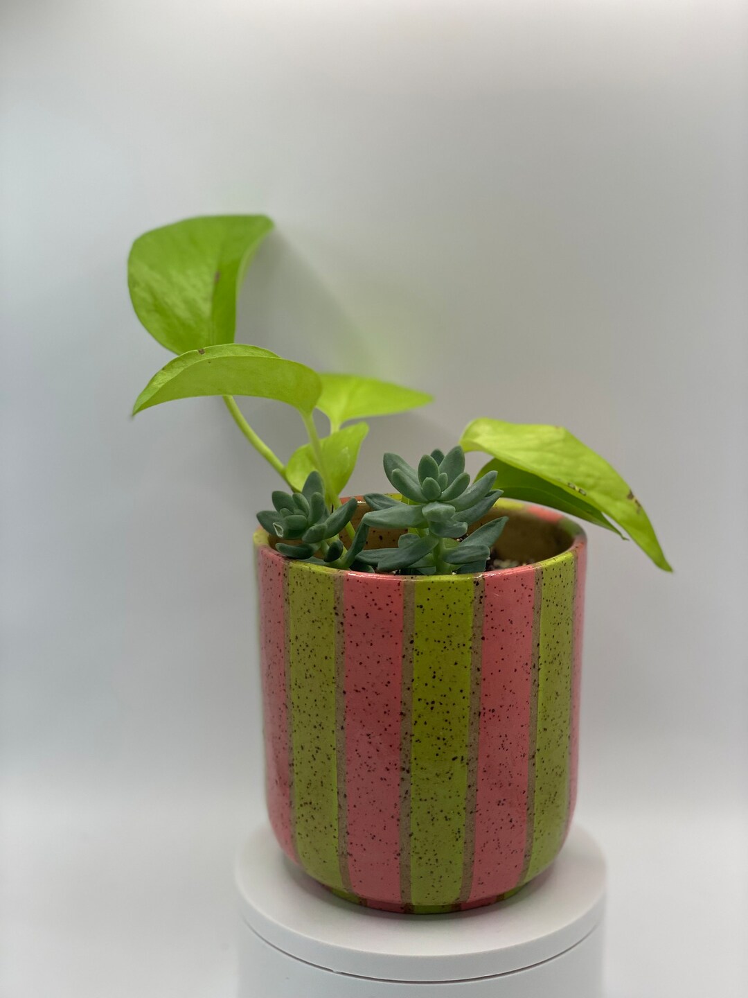 Striped Planter - Etsy