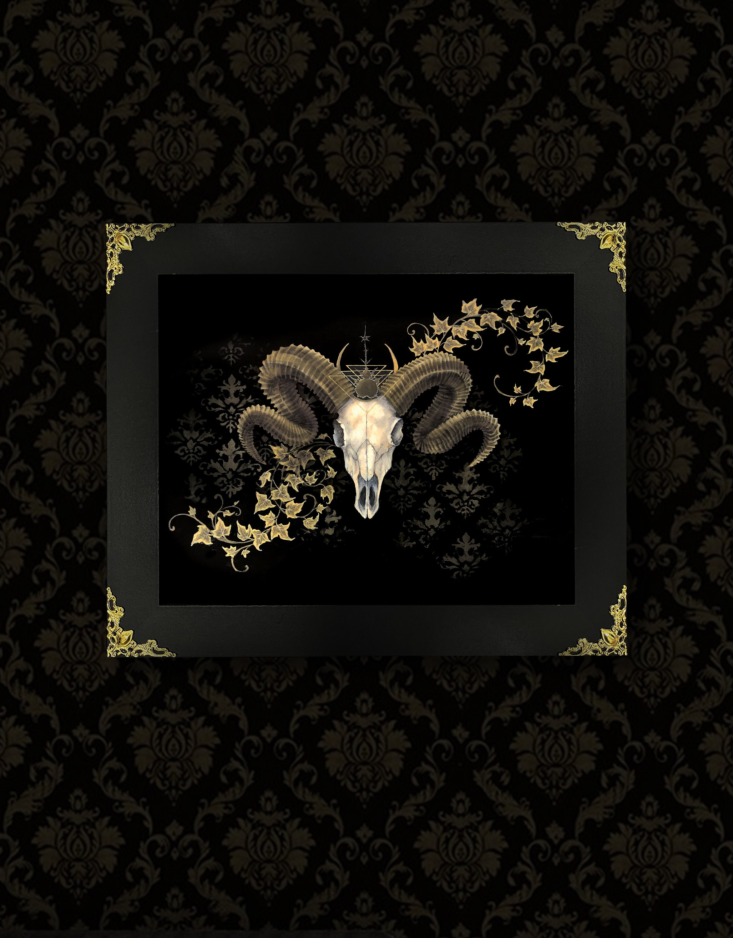 Sheep Skull Wallpaper