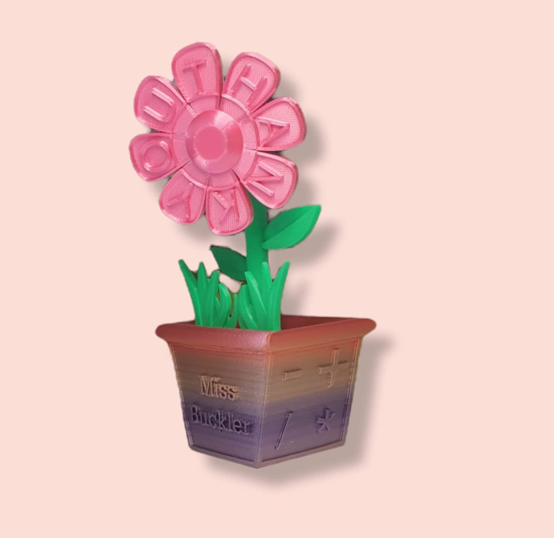 Flower Pot Gift | Appreciation | Personalised | Gift for Her | Mothers ...