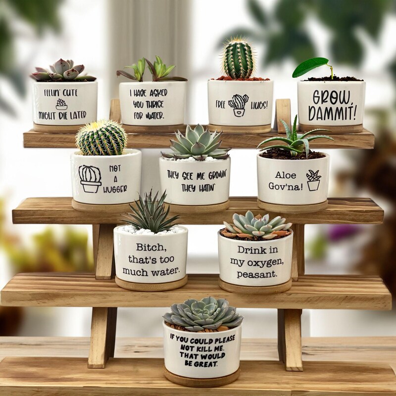 Funny Flower Pots - Etsy