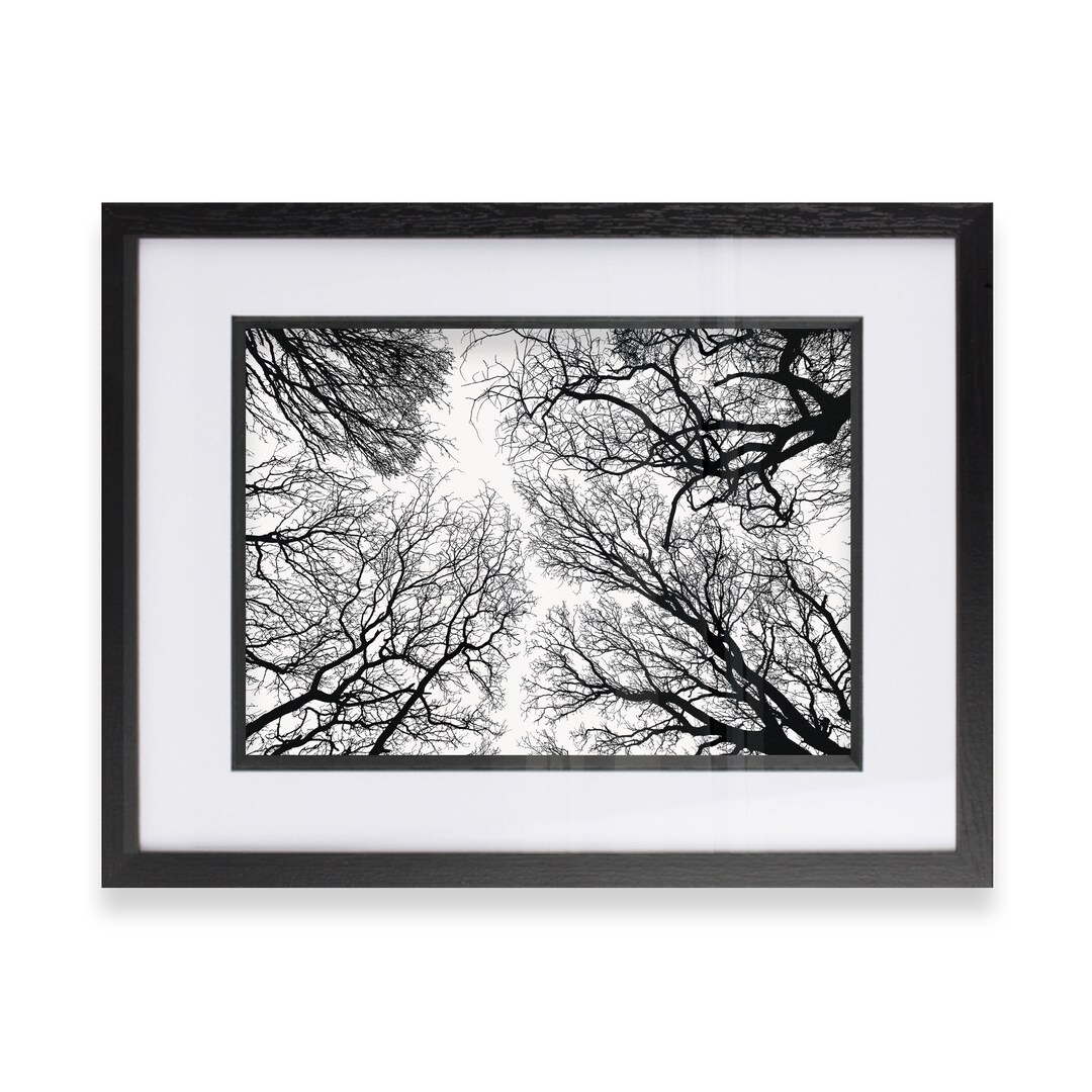 Black Tree Print Black and White Tree Branches Tree Wall - Etsy