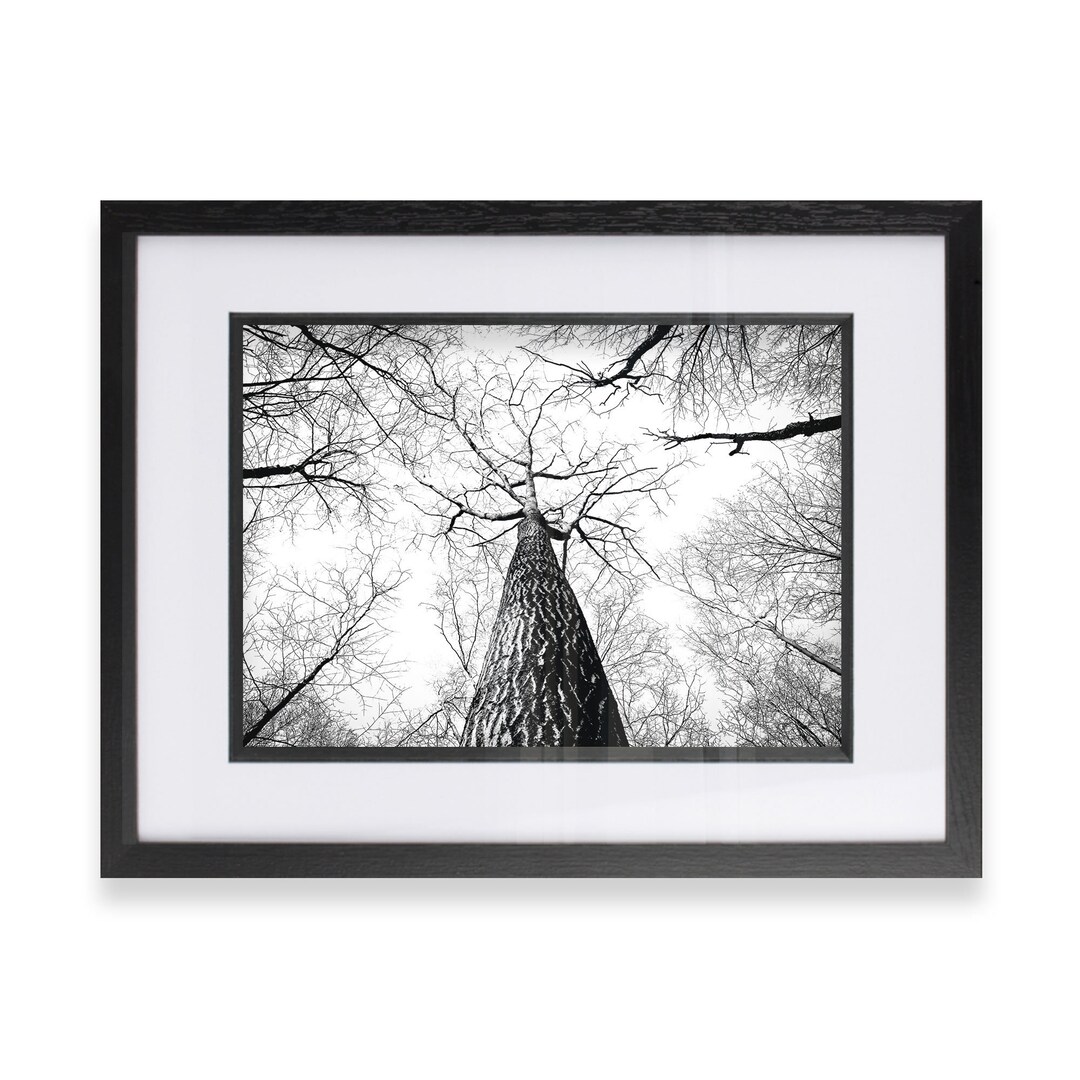 Black Tree Print Black and White Tree Branches Tree Wall - Etsy
