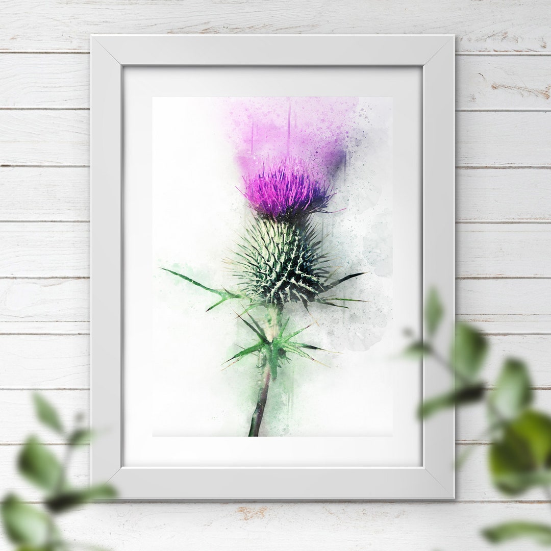 Scottish Thistle WATERCOLOUR Print, Thistle Wall Art, Thistle Abstract ...