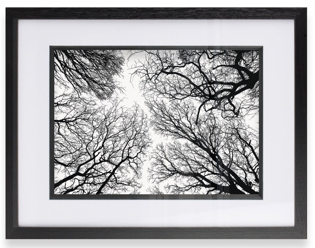 Black Tree Print, Black and White, Tree Branches, Tree Wall Art ...