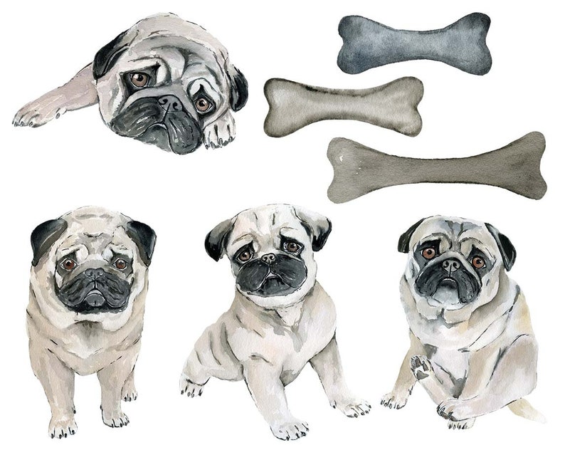 Watercolor Pugs Clipart, Cute Dog Clipart, Pugs Png, Water Color Dog ...