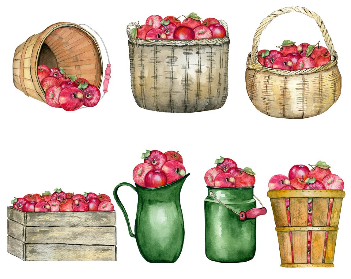 Watercolor Apple Harvest Clipart. Water Color Fall Garden Arrangements ...