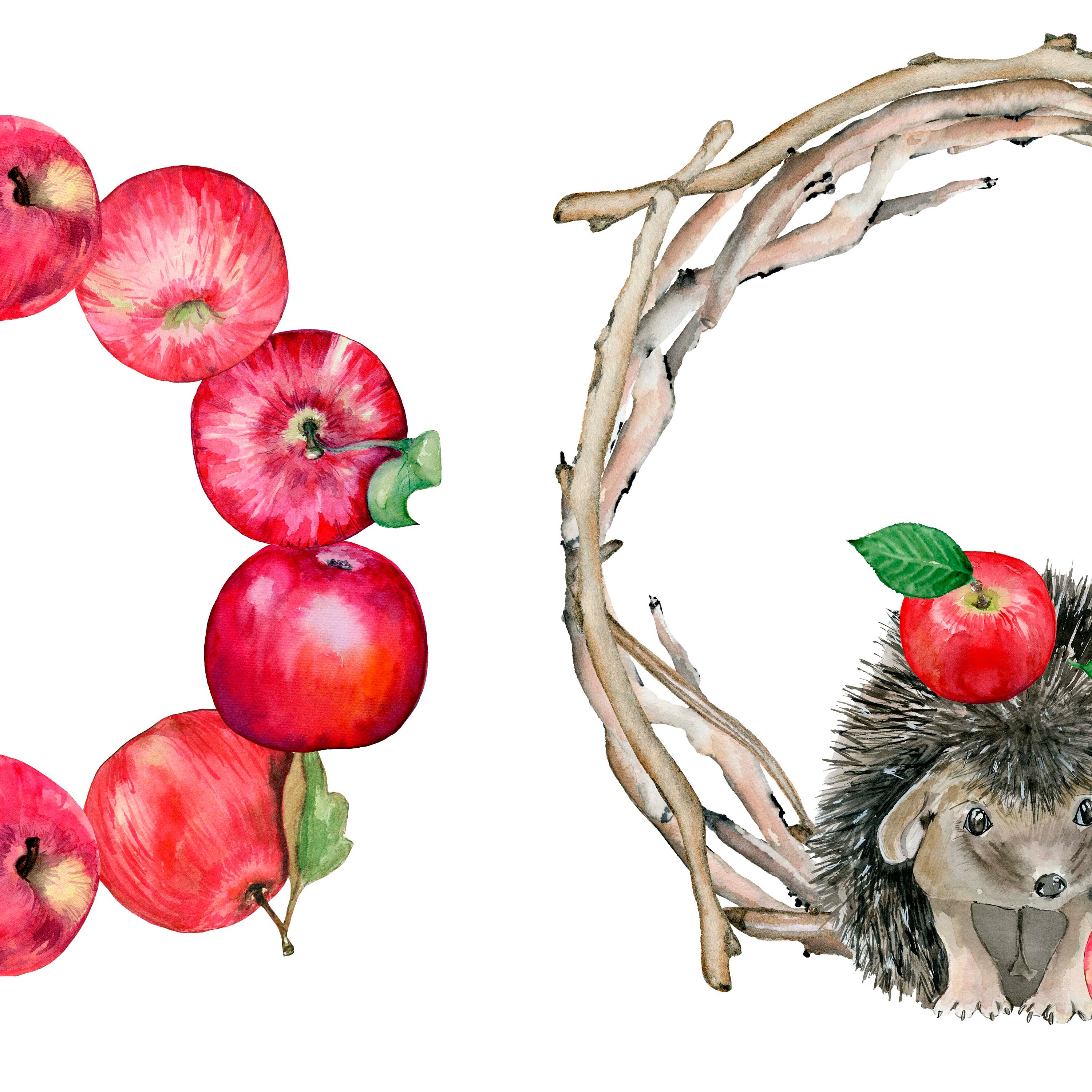 Watercolor Digital Apple Wreaths Clipart. Water Color Fall Garden ...