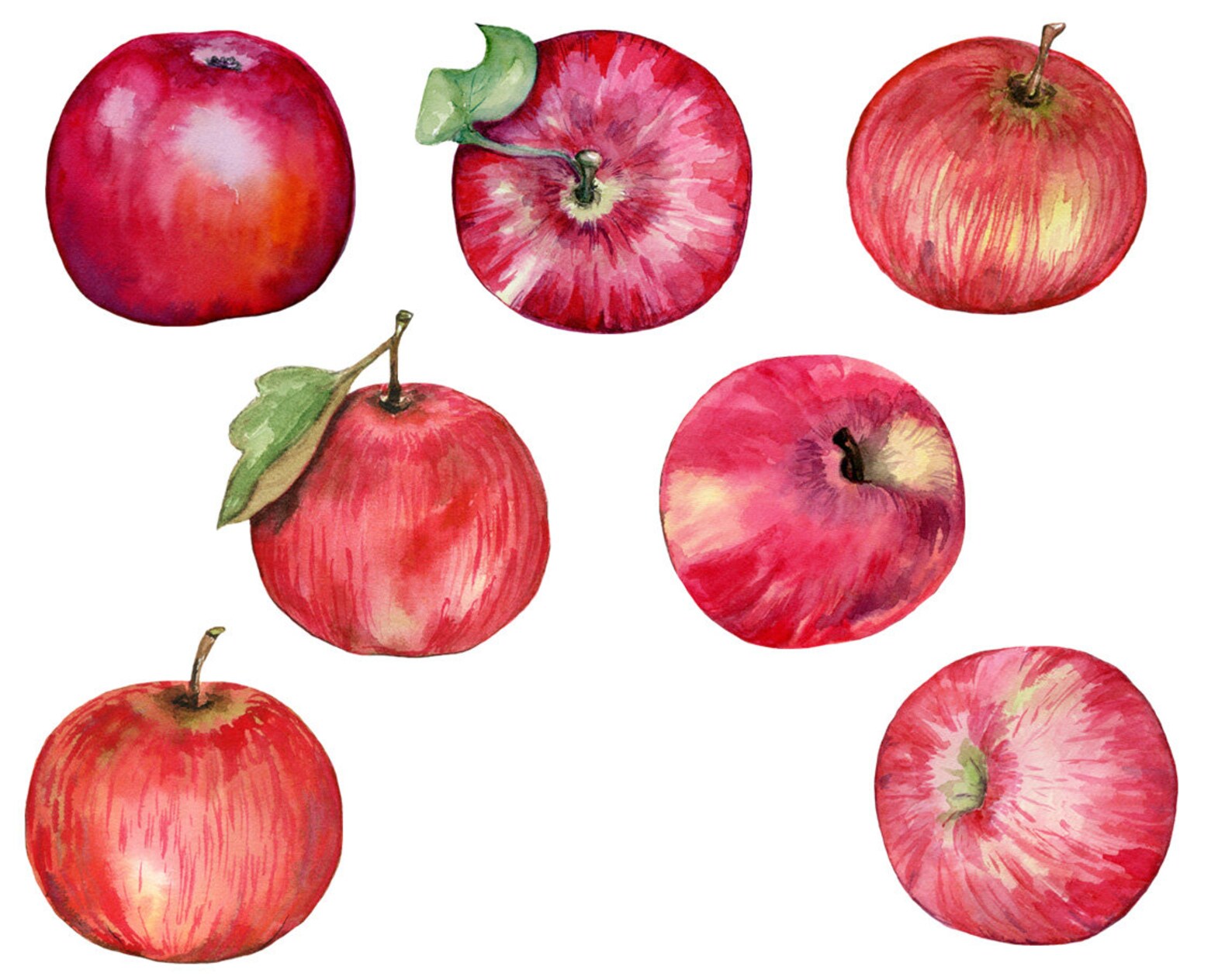 Watercolor Apple Harvest Clipart. Water Color Fall Garden Arrangements ...