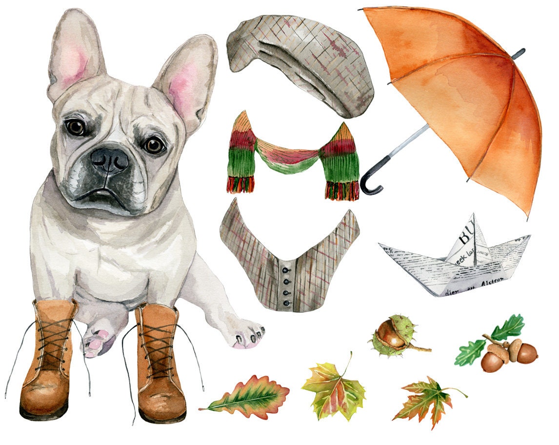 Watercolor Dog Clipart, Fall Clip Art, Water Color French Bulldog ...