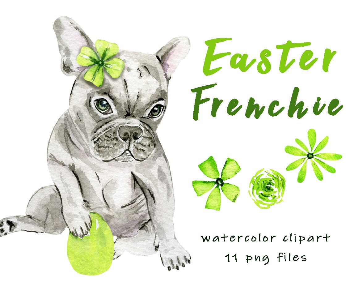 Watercolor Easter Clipart, Ivory French Bulldog Png, France Bull Dog ...