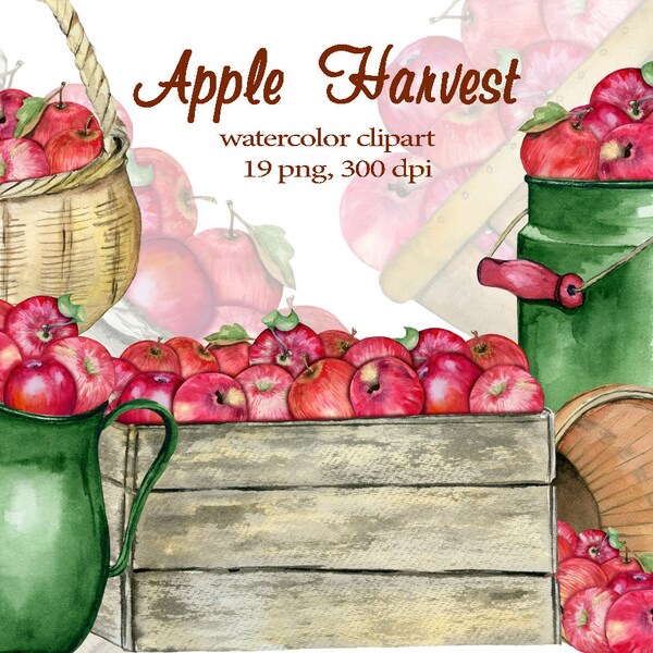 Water Color Apple Clipart - Etsy