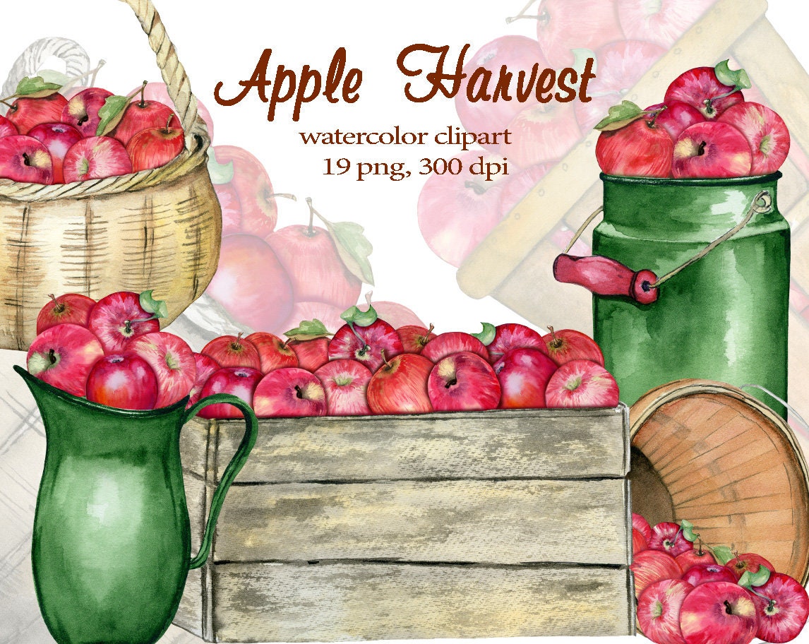 Apple Harvest Clipart
