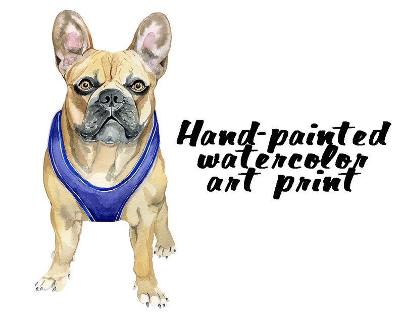 Watercolor Digital French Bulldog Clipart Water Color Dog - Etsy