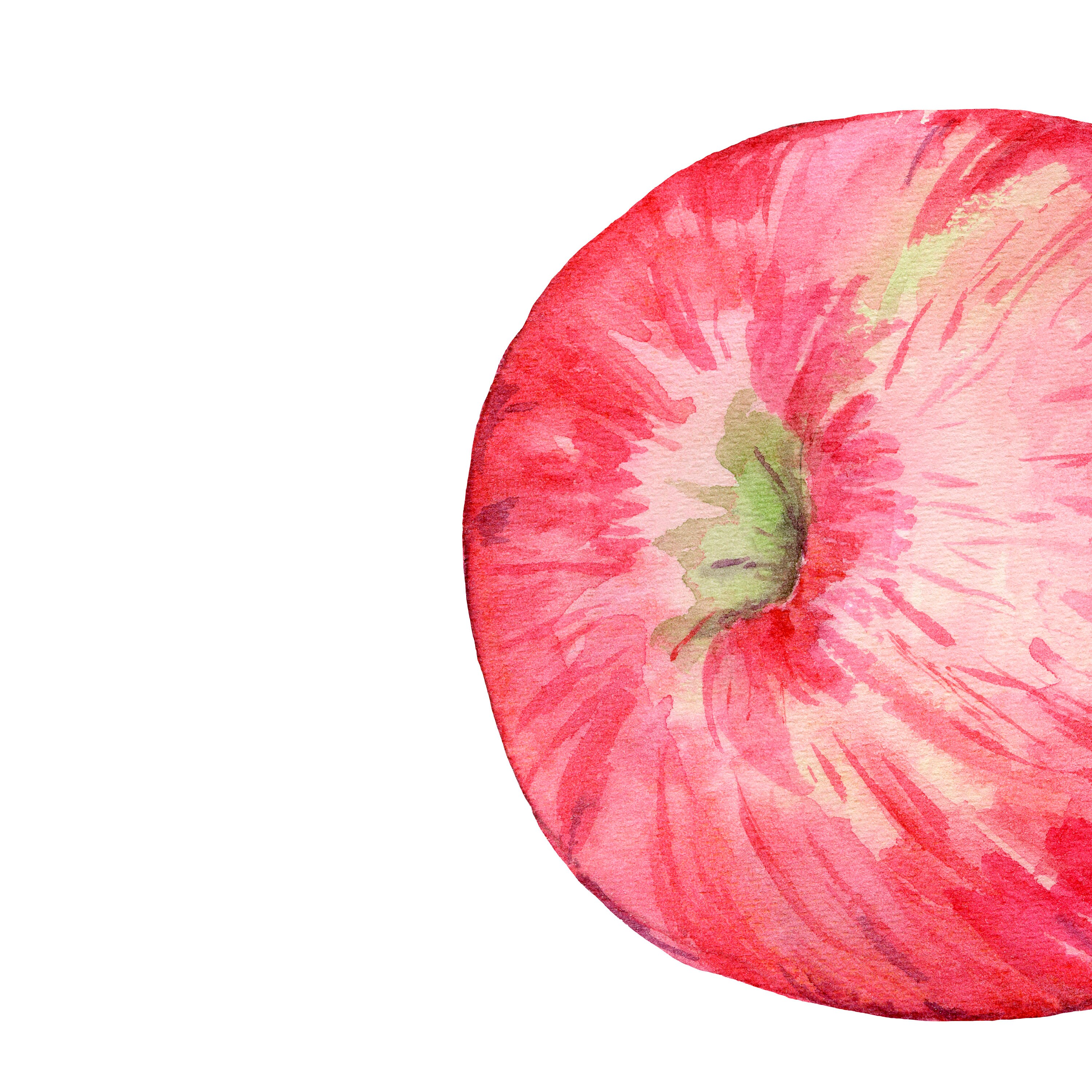 Watercolor Apple Harvest Clipart. Water Color Fall Garden Arrangements ...