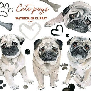 Watercolor Pugs Clipart, Cute Dog Clipart, Pugs Png, Water Color Dog ...