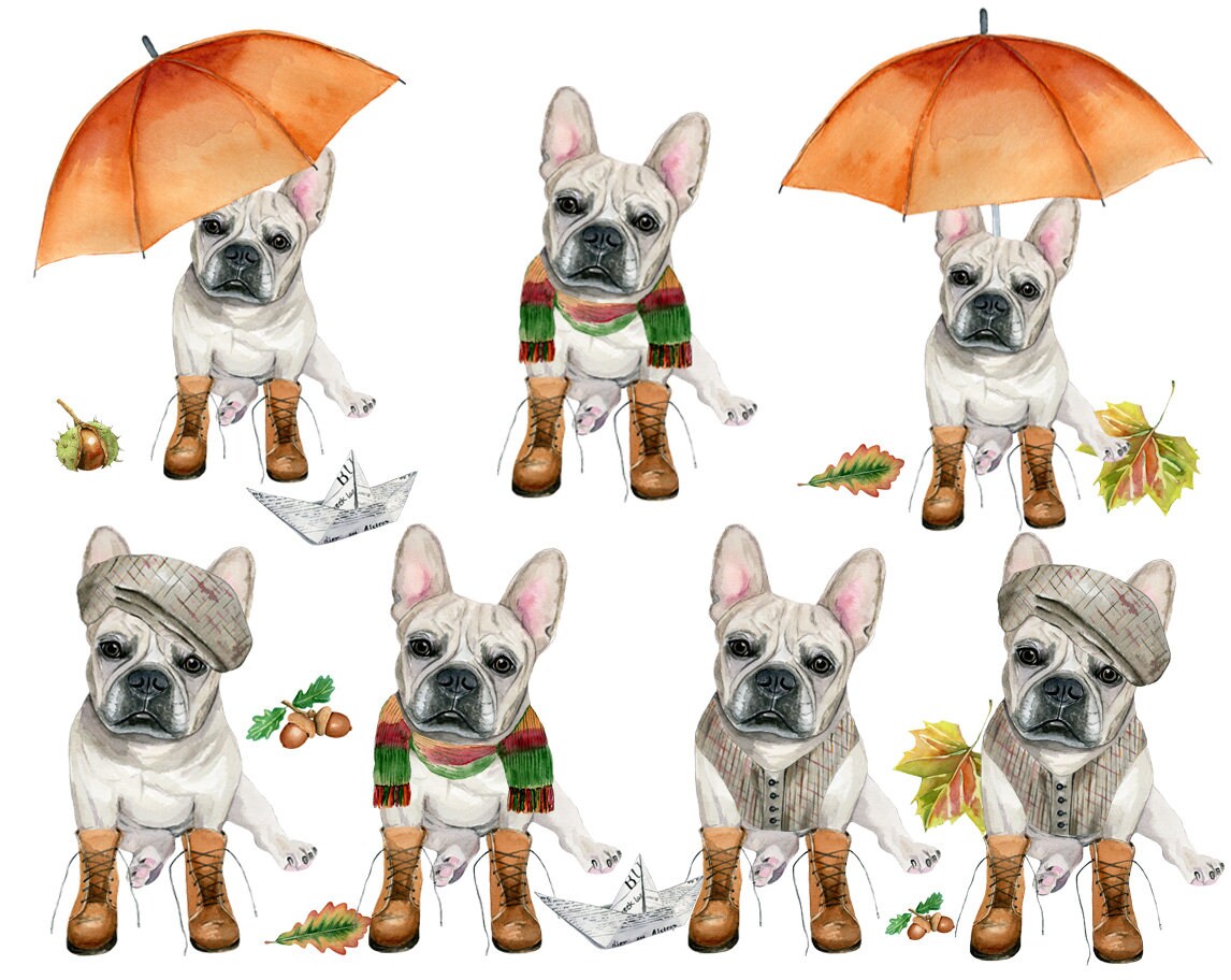 Watercolor Dog Clipart, Fall Clip Art, Water Color French Bulldog ...
