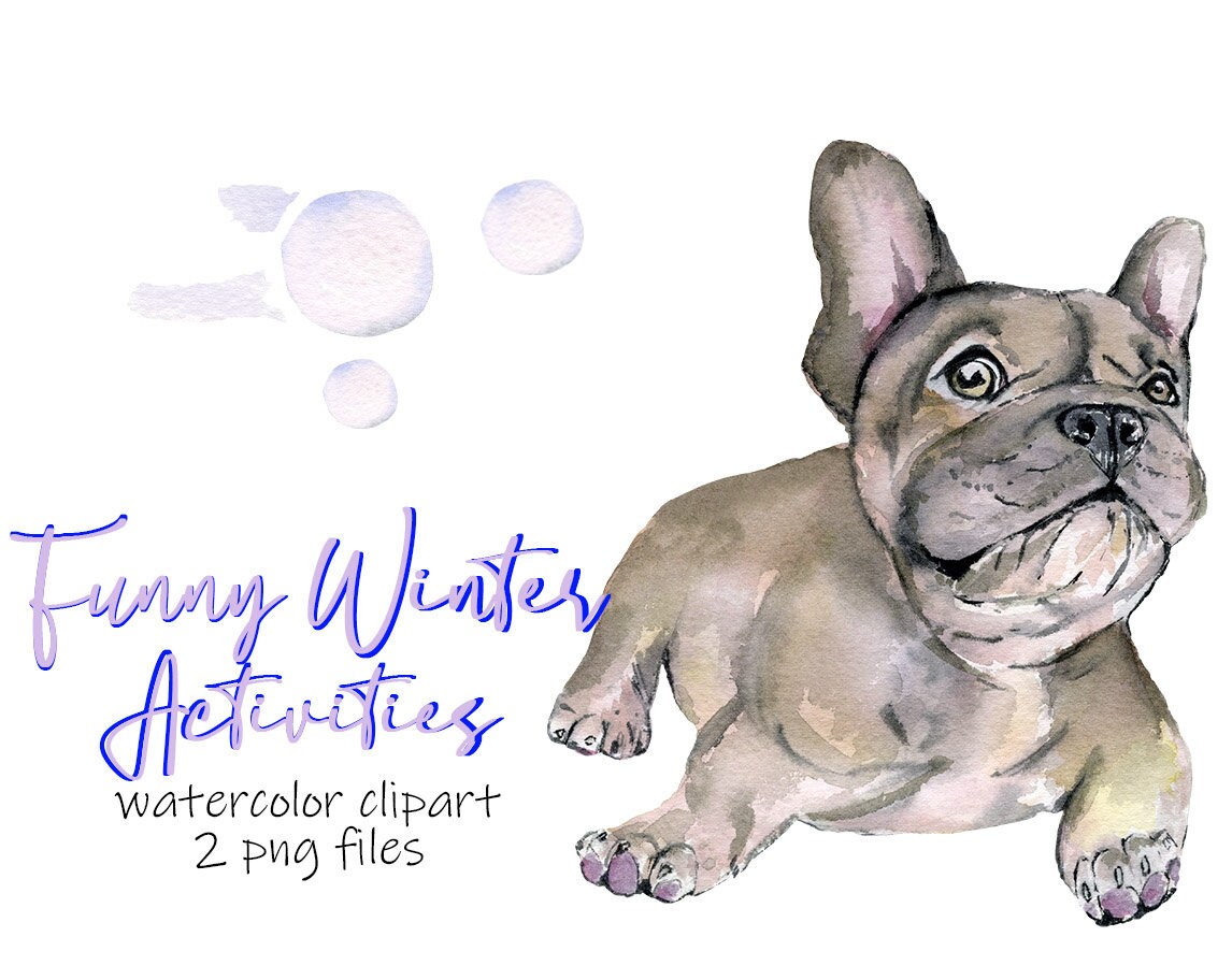 Watercolor Dog Clipart Fun Christmas French Bulldog Png - Etsy