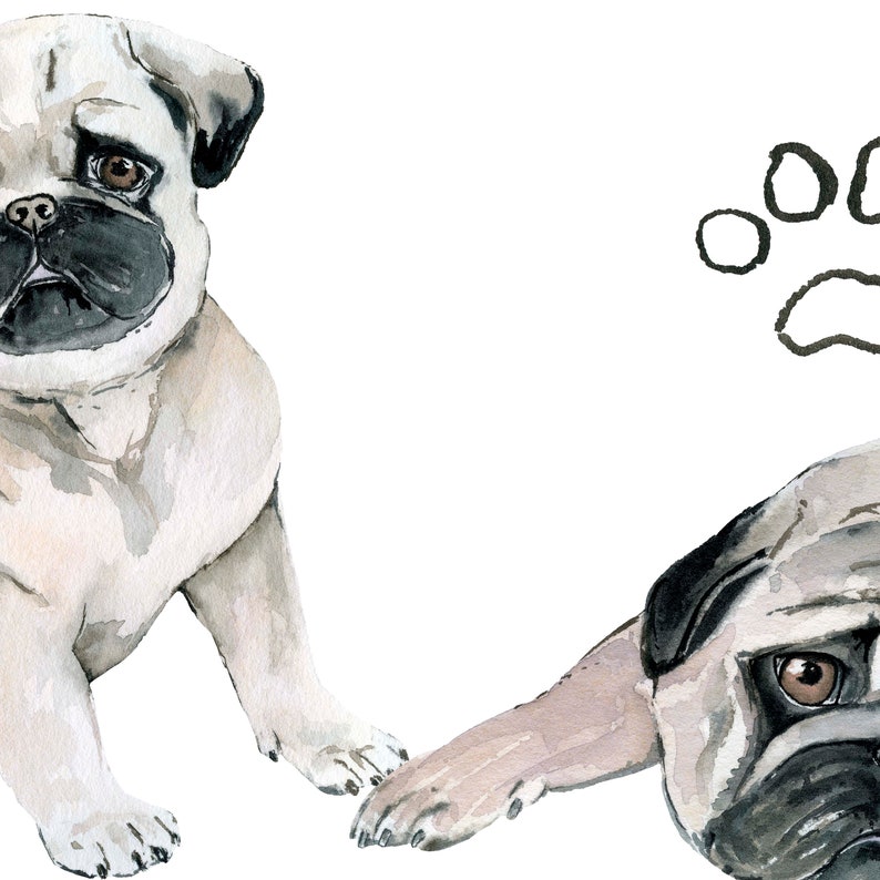 Watercolor Pugs Clipart Cute Dog Clipart Pugs Png Water - Etsy