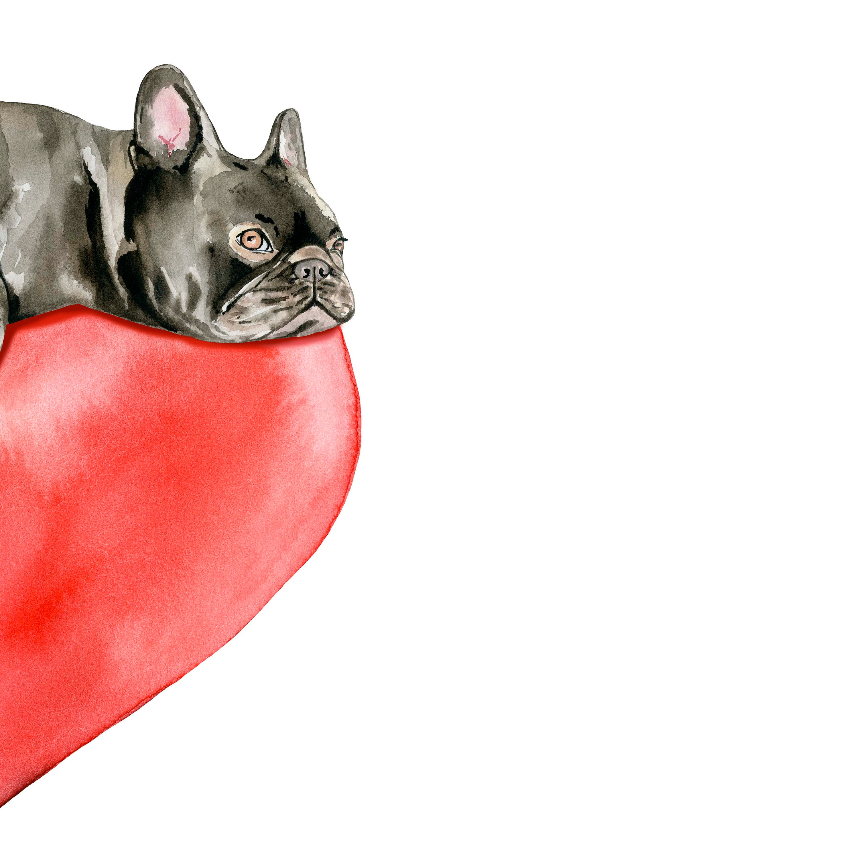 Watercolor Valentine's Day Clipart French Bulldog on Heart Png, Brown ...
