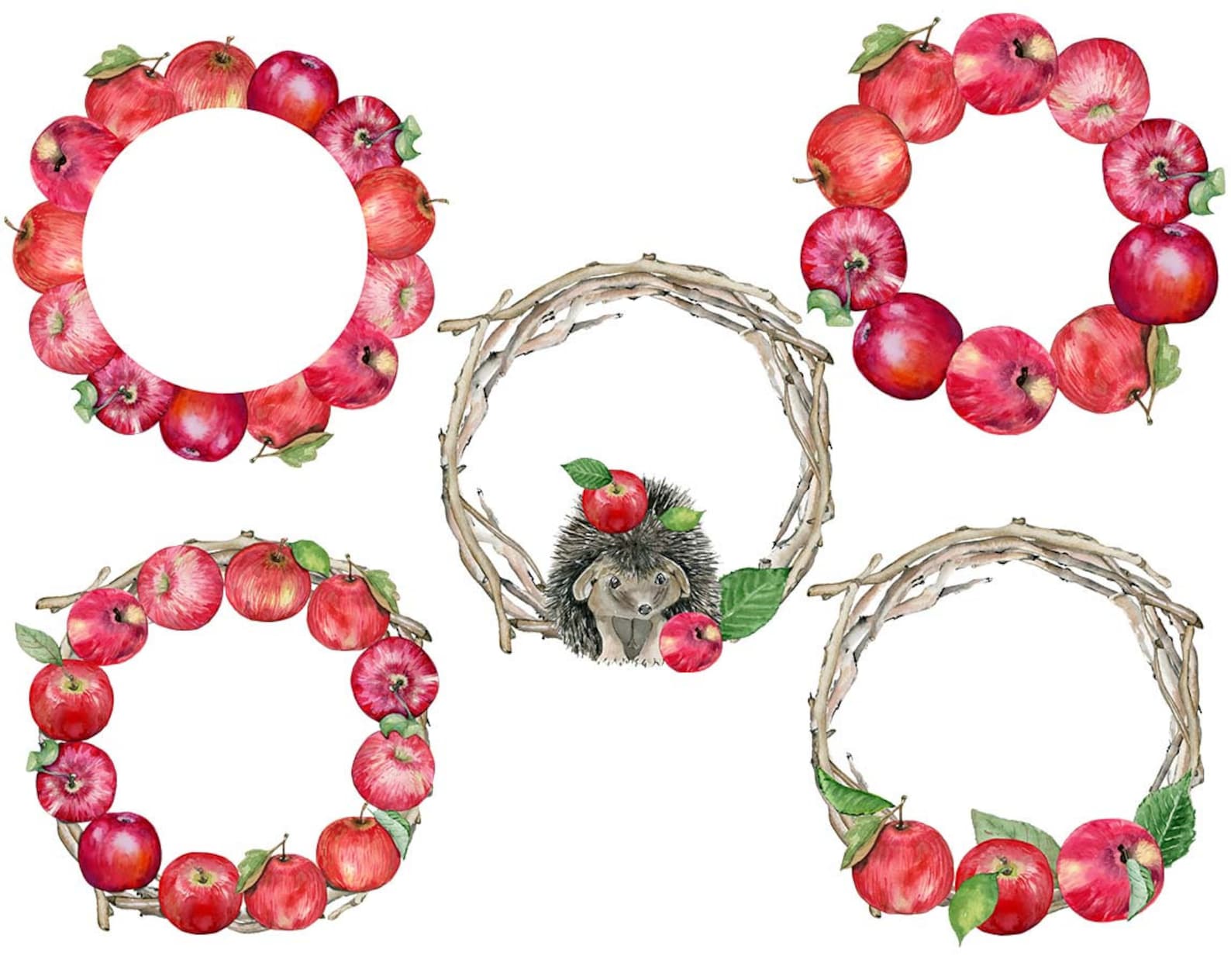 Watercolor Digital Apple Wreaths Clipart. Water Color Fall Garden ...