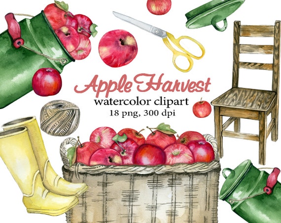 Apple Harvest Clipart