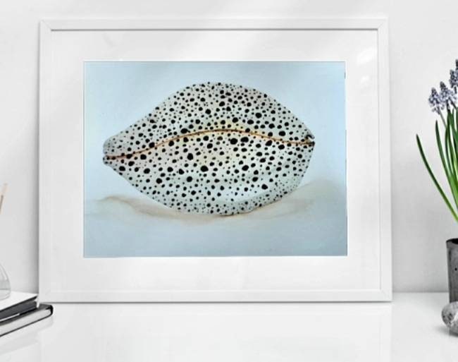 Cowrie Sea Shell Watercolor Painting Ocean Life Art Coastal - Etsy New ...