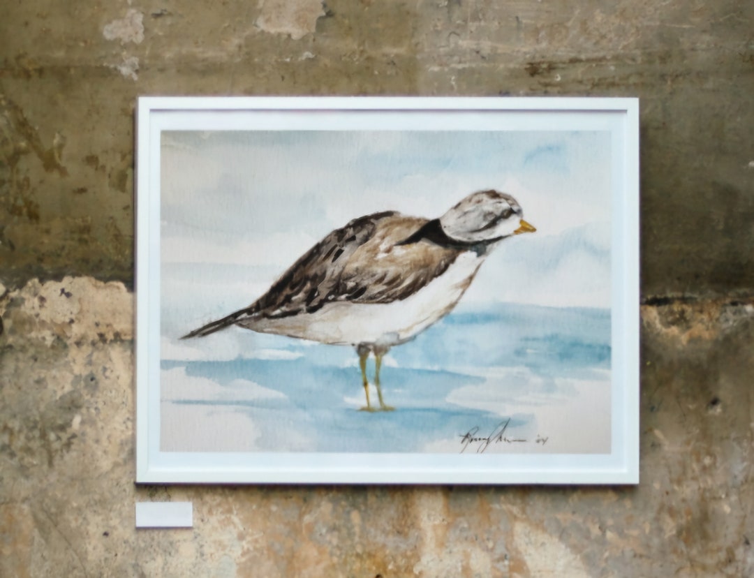 Piping Plover Watercolor Painting, Sea Bird Art, Sandpiper Painting ...