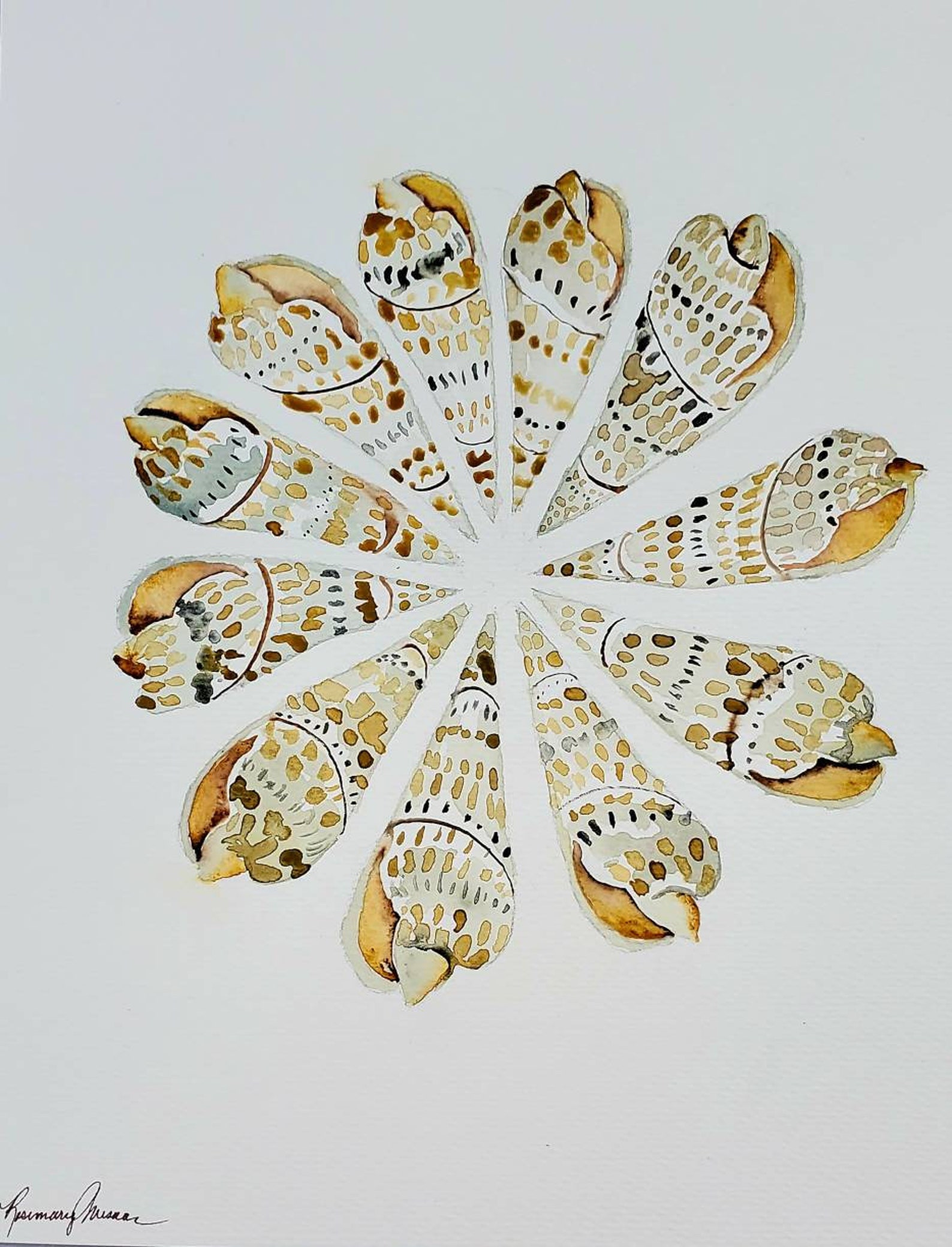 Sea Shell Mandala Watercolor Painting Sea Life Fine Art | Etsy