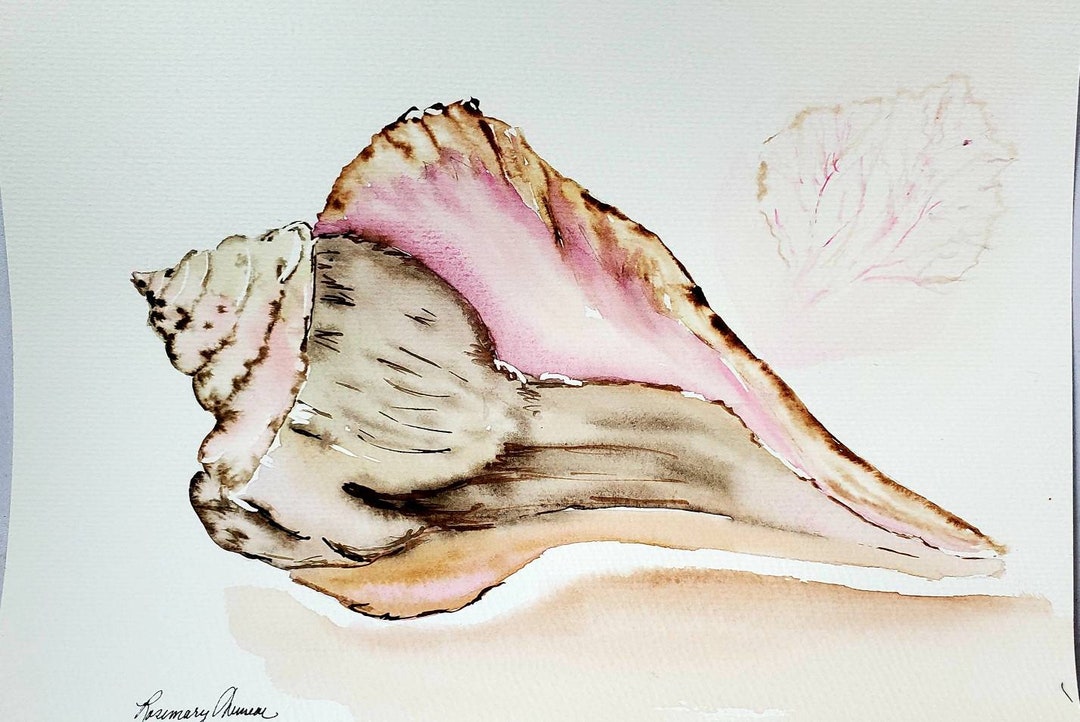 Conch Shell Watercolor, Sea Life Painting, Whelk Picture, Sea Shell ...