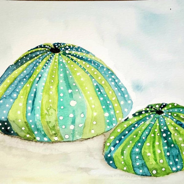 Sea Urchin Art - Etsy