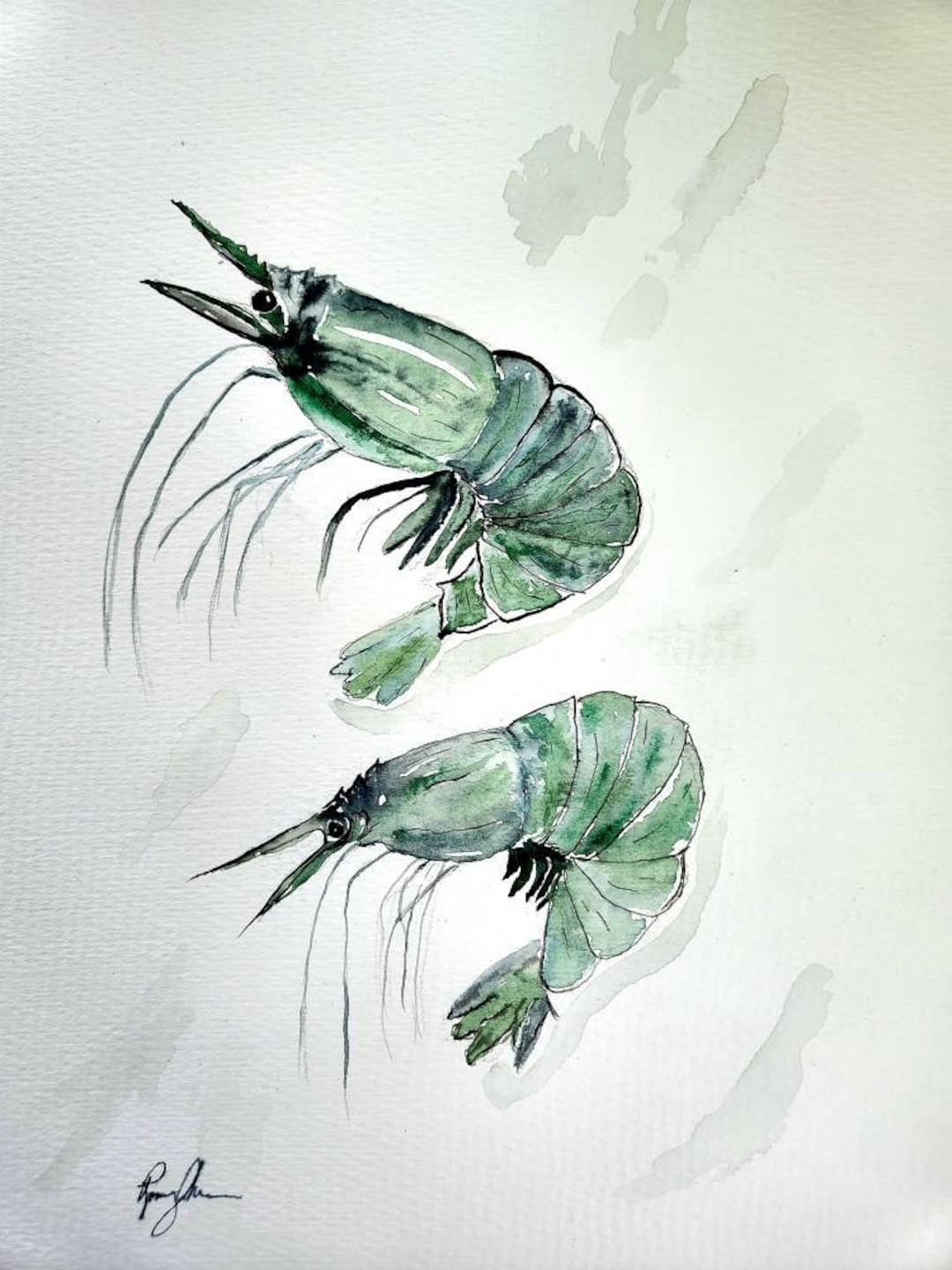 Two Shrimp Watercolor Painting, Ocean Life Art, Marine Life in Green ...
