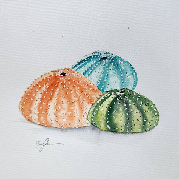 Sea Urchin Painting - Etsy