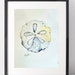 Sand Dollar Watercolor Painting, Beach House Wall Decor, Coastal Living ...