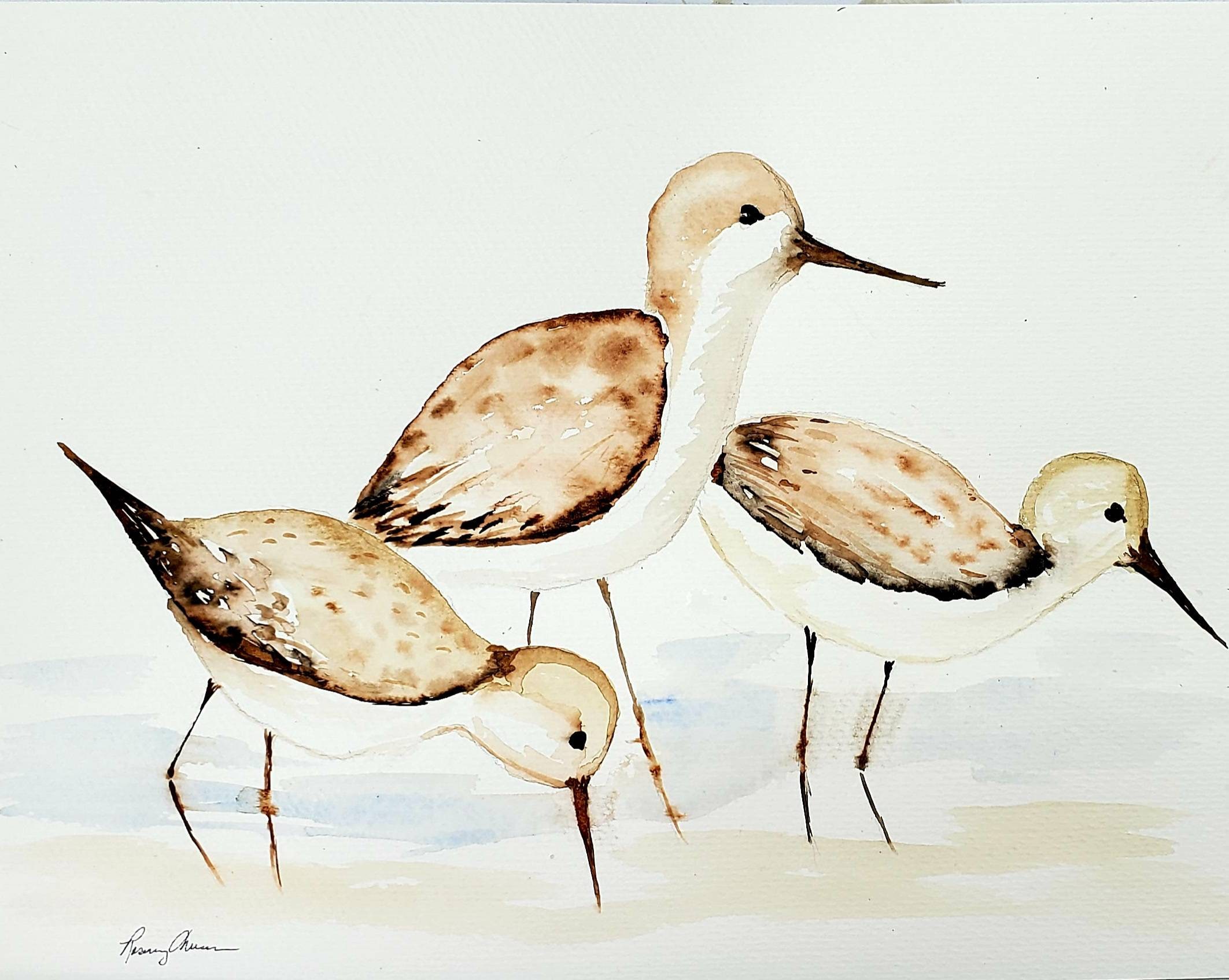 Sandpiper Watercolor Print, Sea Life Fine Art, Sea Bird Wall Decor ...