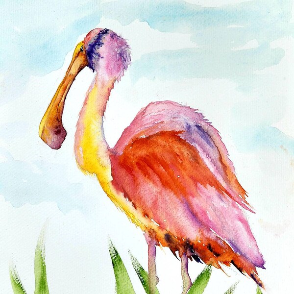 Spoonbill - Etsy