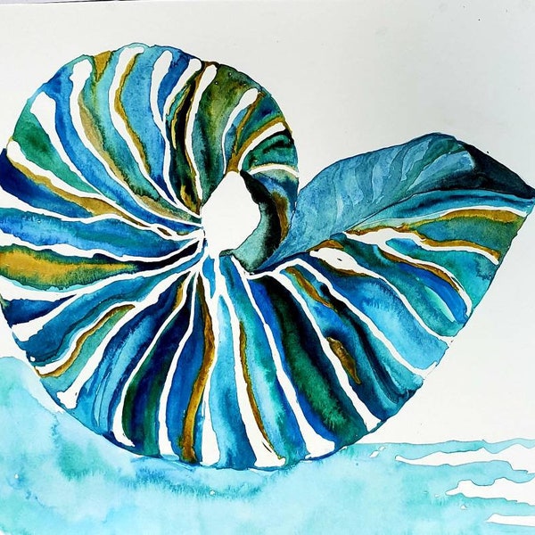 Nautilus Shell Art - Etsy