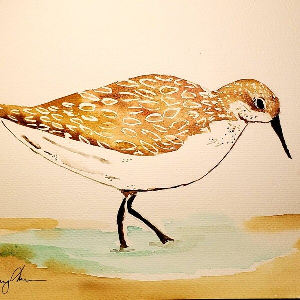 Shore Bird Painting - Etsy