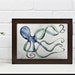Octopus Watercolor Print, Sea Life Fine Art, Marine Life Artwork ...