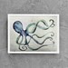 Octopus Watercolor Print, Sea Life Fine Art, Marine Life Artwork ...