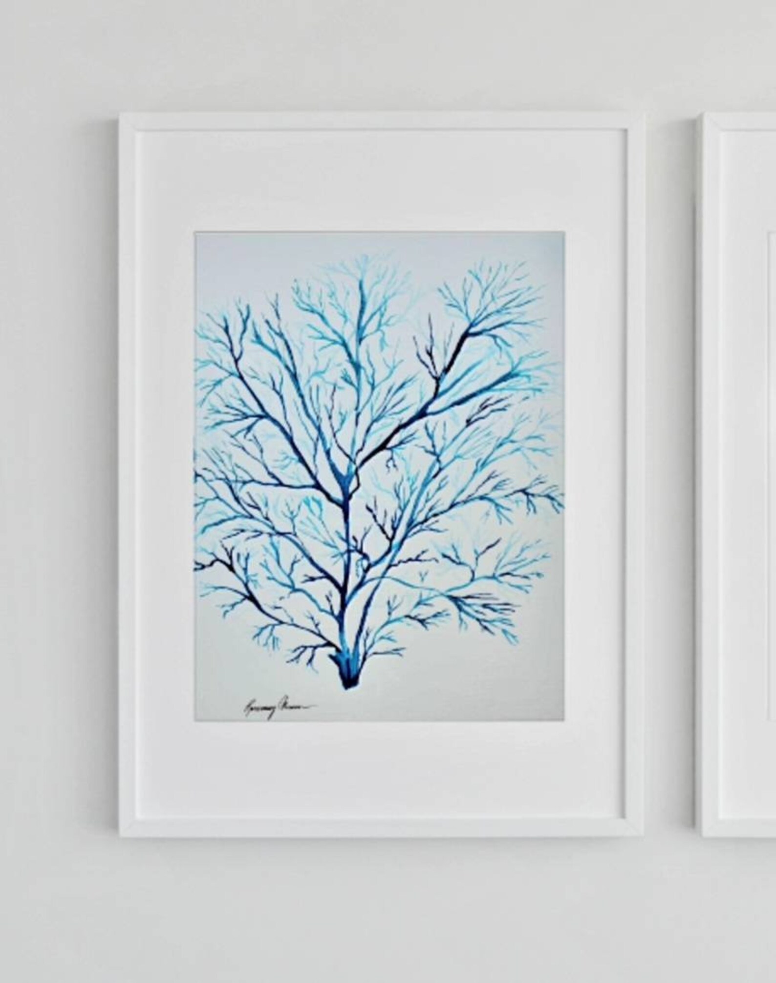 Sea Fan Watercolor Painting Sea Life Fine Art Coastal Wall - Etsy
