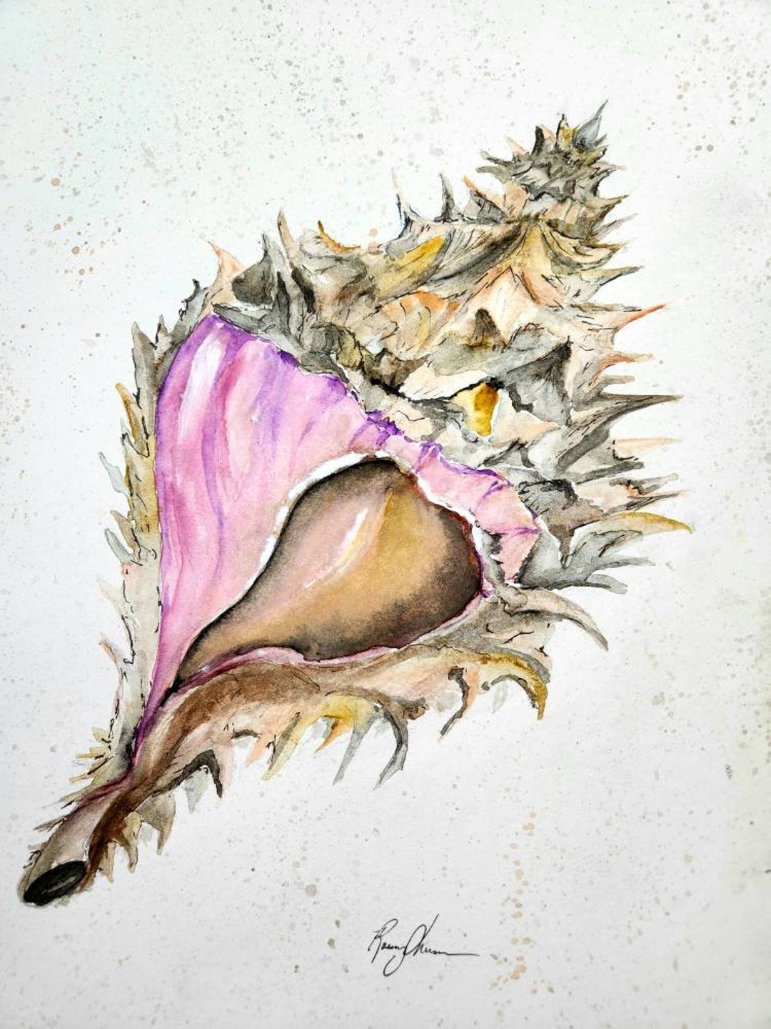 Murex Sea Shell Watercolor Painting, Coastal Living Room Wall Art ...