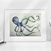 Octopus Watercolor Print, Sea Life Fine Art, Marine Life Artwork ...