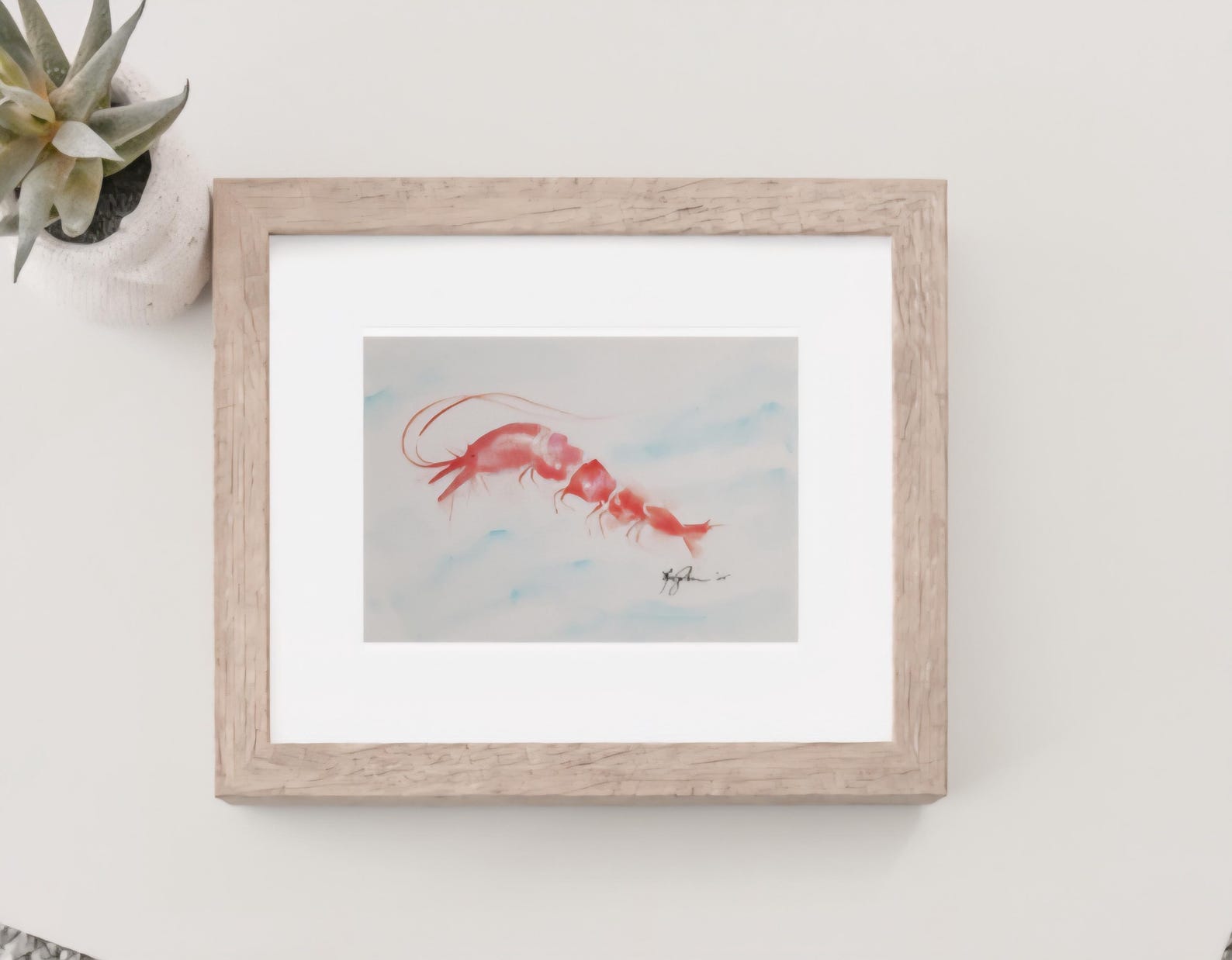 Original Watercolor Painting of a Shrimp, Sea Life Art, Coastal Living ...