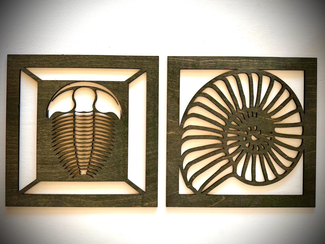 Trilobite Fossil and Ammonite Seashell Fossil Wood Wall Art, 2 Panel in ...