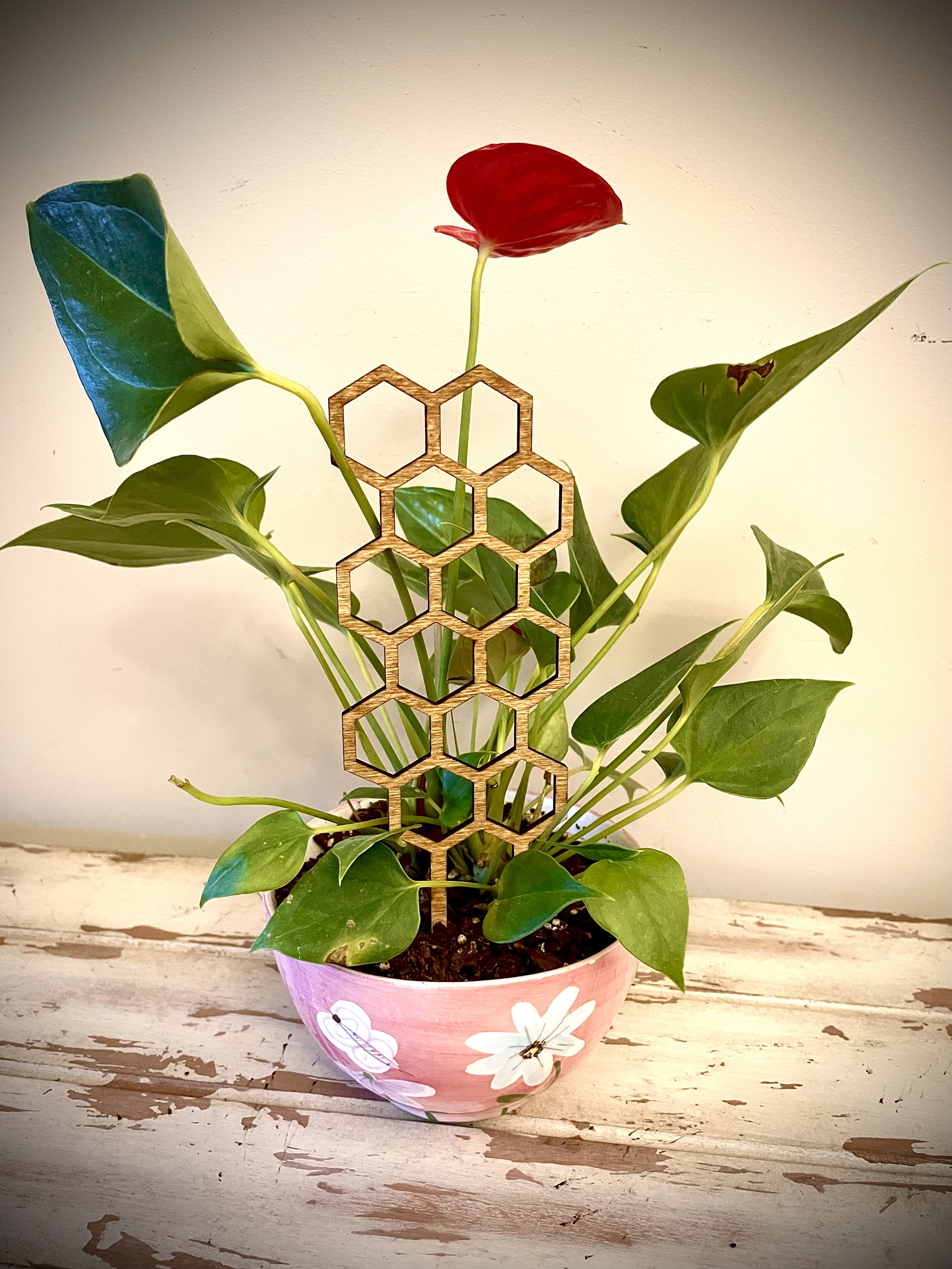 Indoor Boho Plant Trellis-hexagon Shapes Available in 12 | Etsy