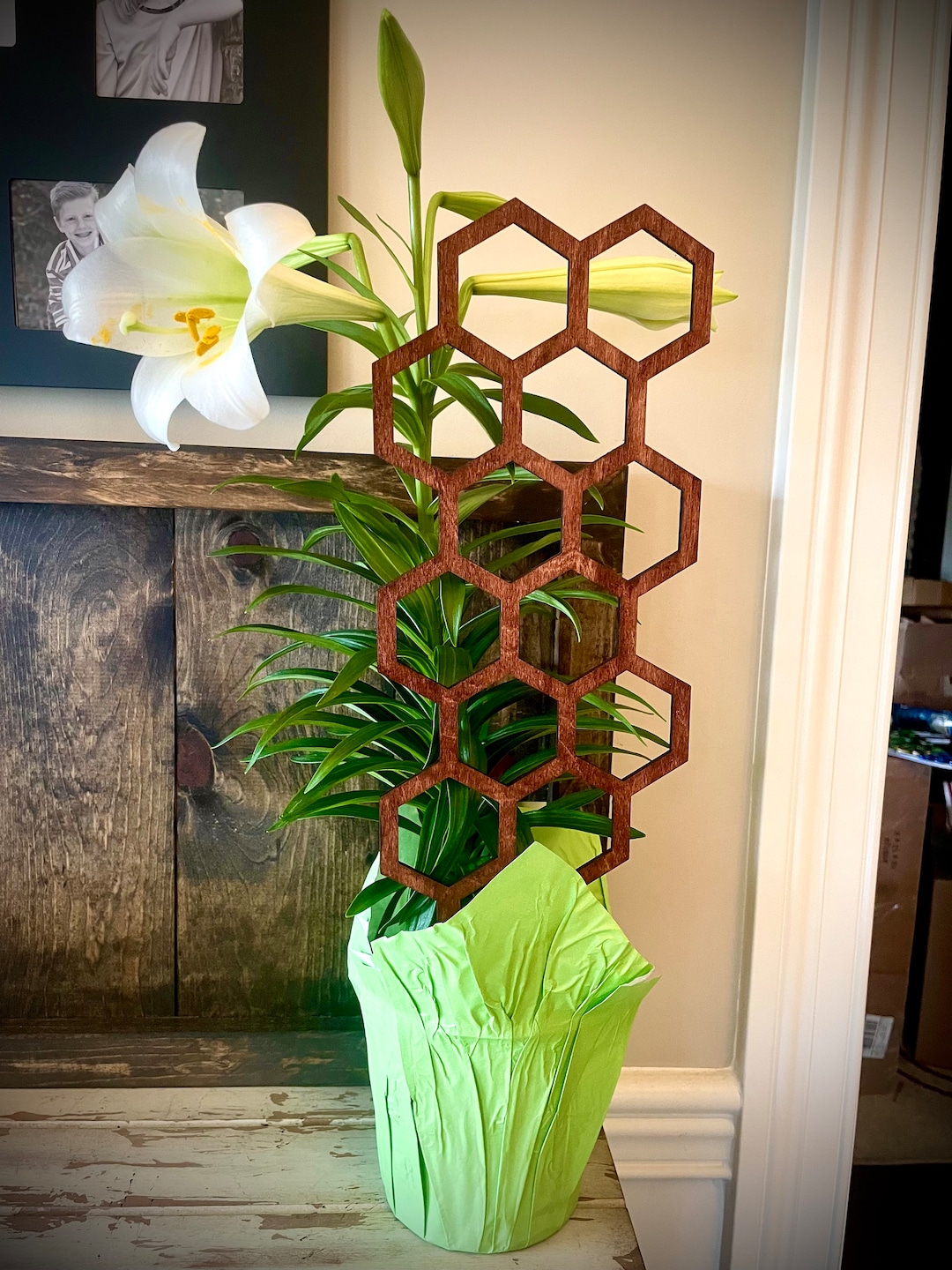 GIANT 18" Indoor Boho Plant Trellis-hexagon Shapes Available in 12 ...