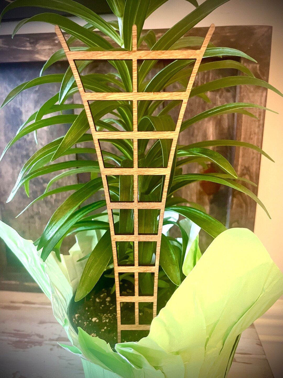 Indoor Boho Plant Trellis-traditional Trellis Shapes Available in ...