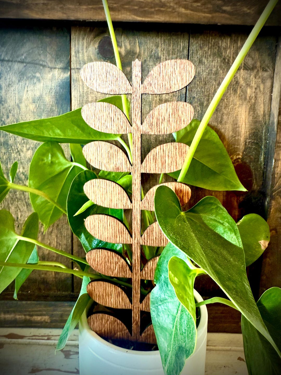 Indoor Plant Trellis-mid Century Modern Style Leafy Vine in Multiple ...