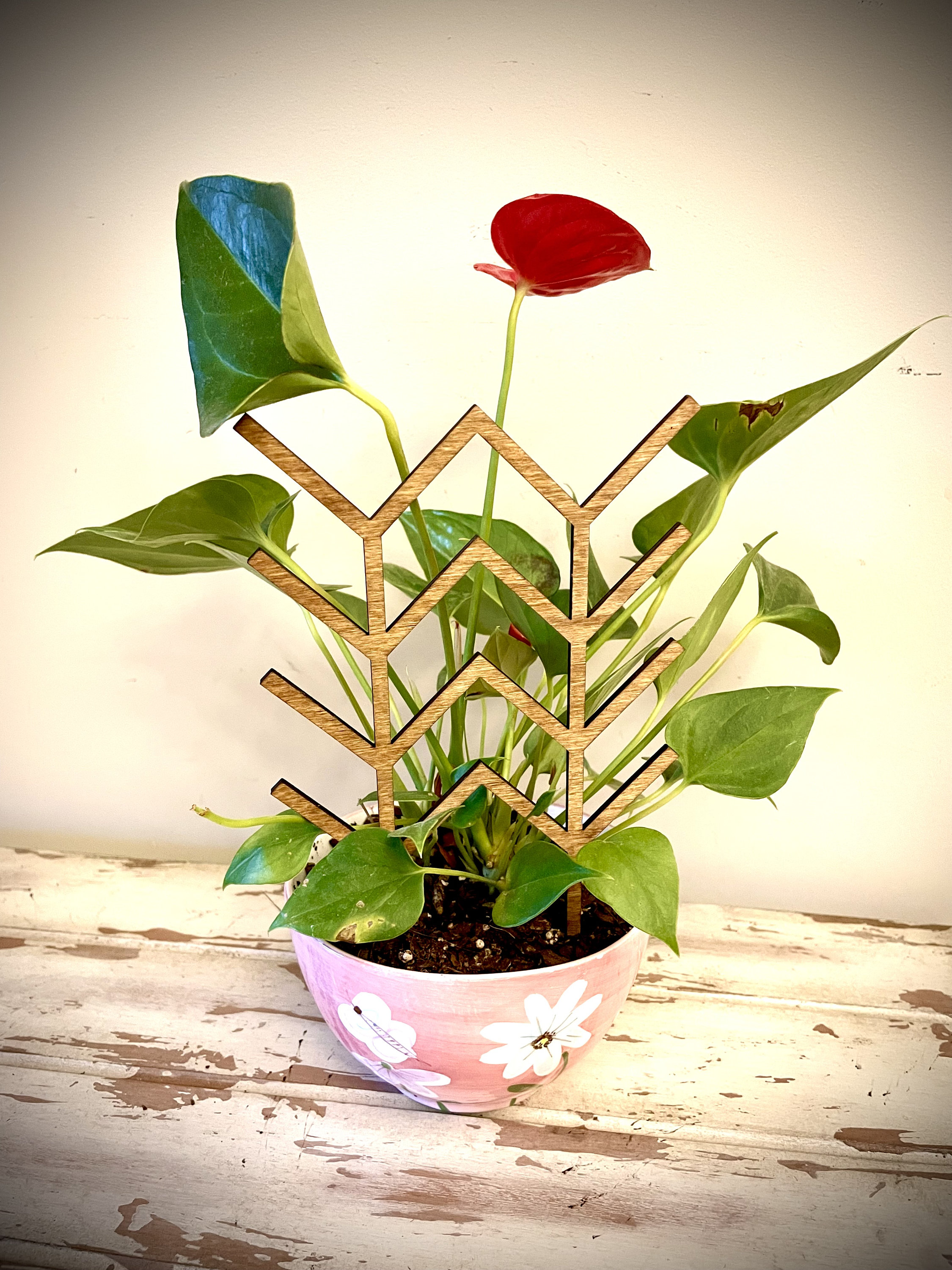 Indoor Boho Plant Trellis-v Shapes Available in Multiple Sizes and ...